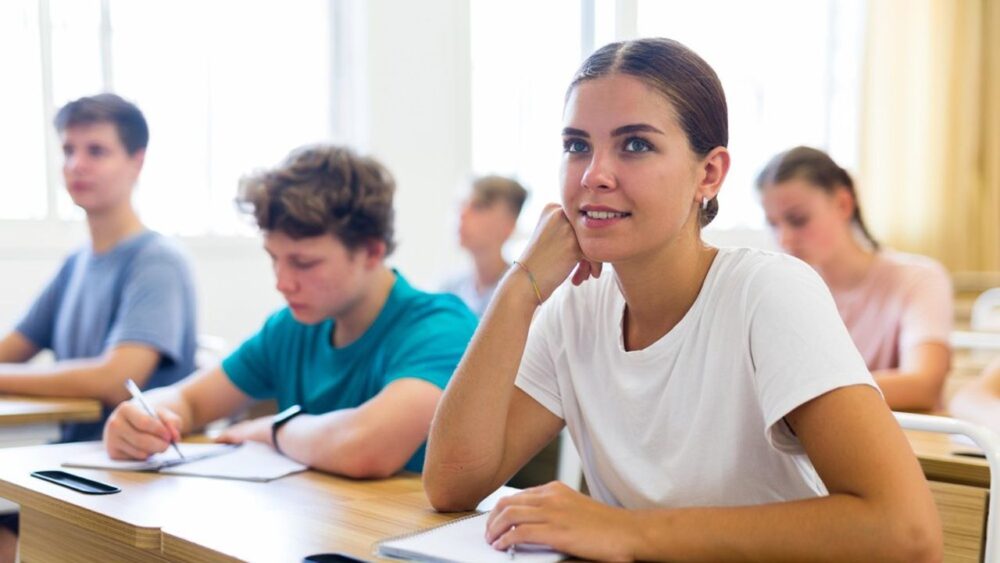 ¿Qué es el PAT según el Minedu? - Maestro Excelencia